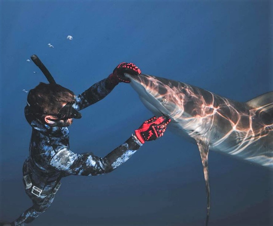 A devenit „Regele apelor”, după un deceniu. Un scafandru a ajuns să-i ...