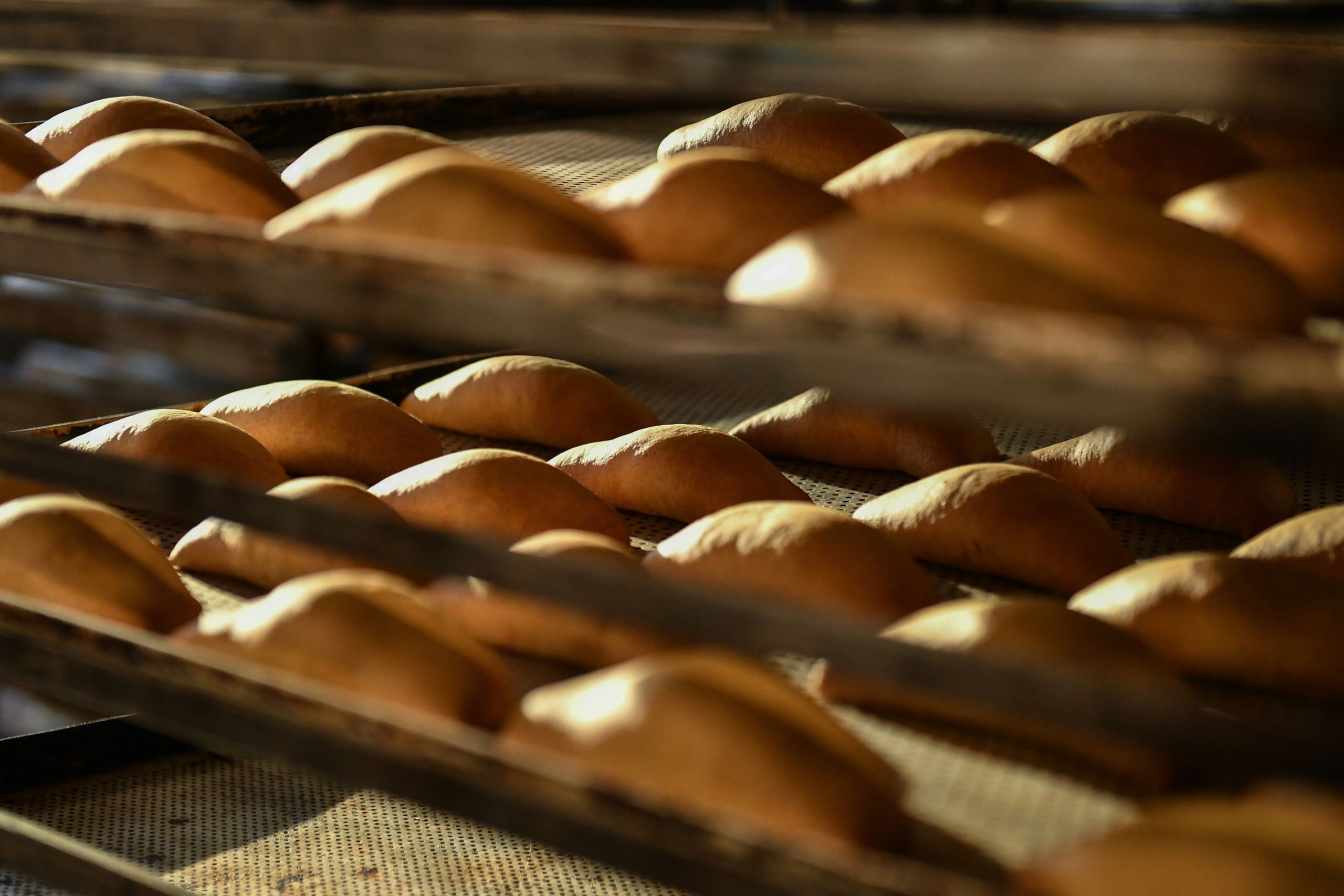 Prima pâine din făină de greieri din România, coaptă la Iași. Care sunt ...