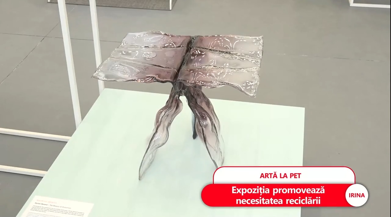 Plasticul, adus la rang de artă. Cum pot fi reciclate în mod creativ ...