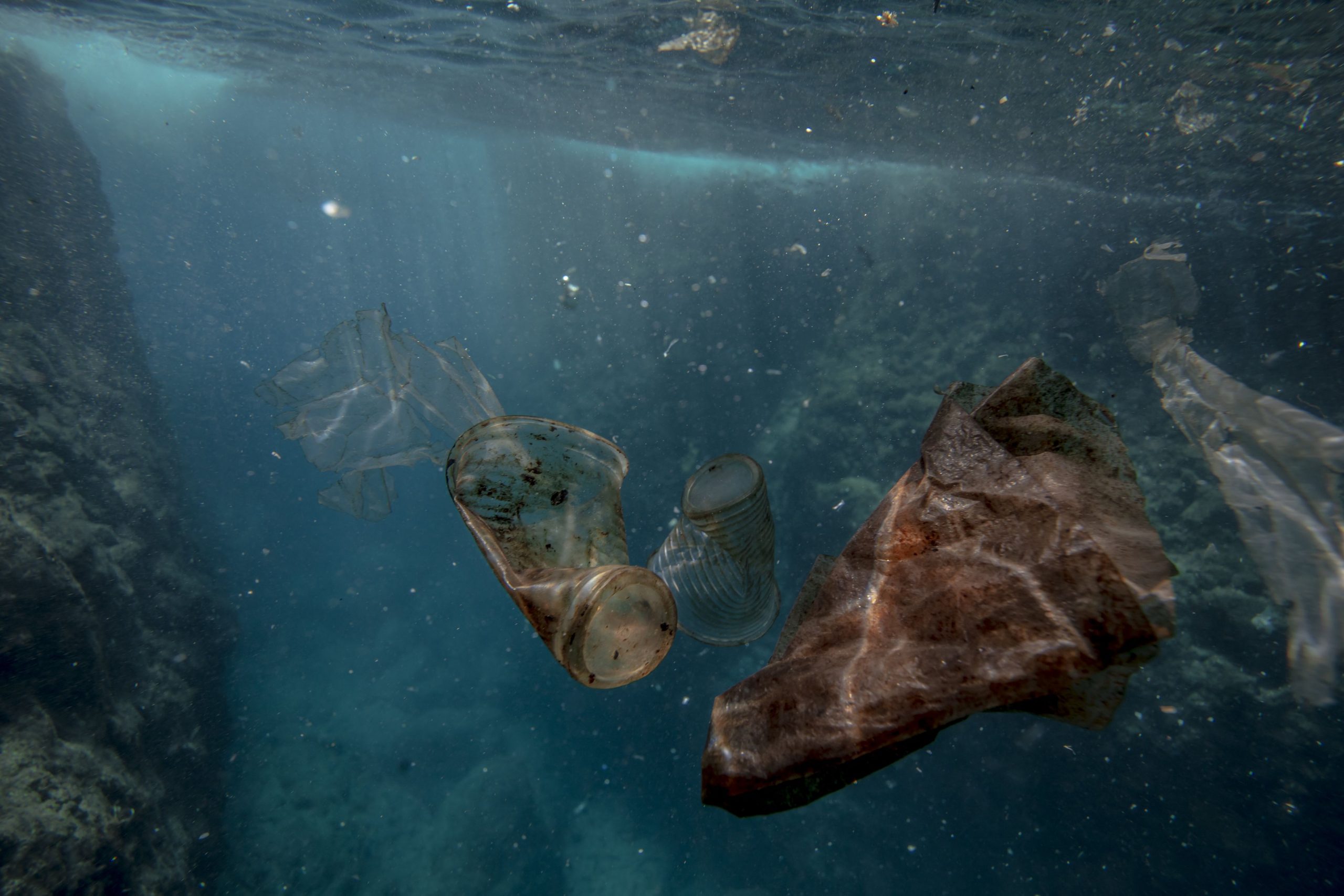 Soluția găsită de cercetători pentru a reduce numărul deșeurilor din ...