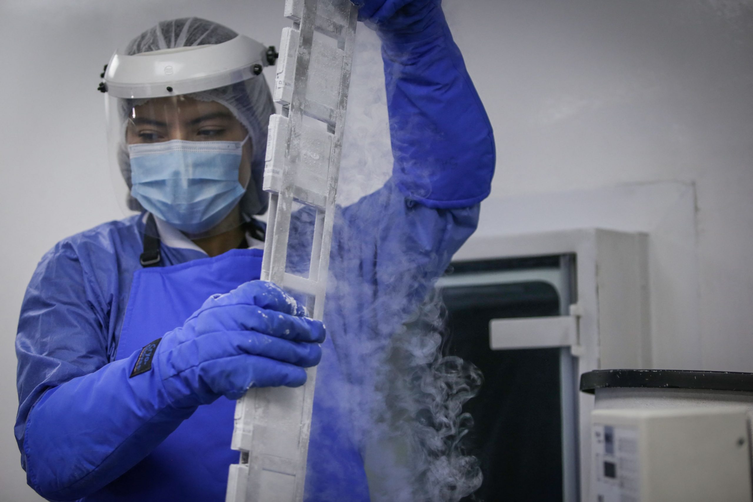 STUDIU. Oamenii de știință australieni au făcut o descoperire ...