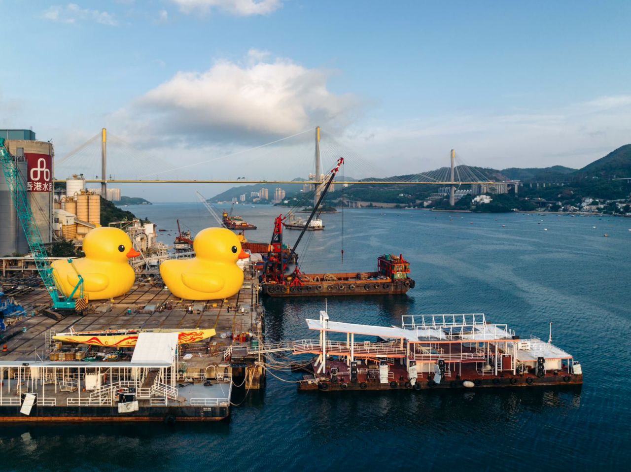 FOTO. Celebra Rubber Duck din Hong Kong se întoarce în dublu exemplar ...