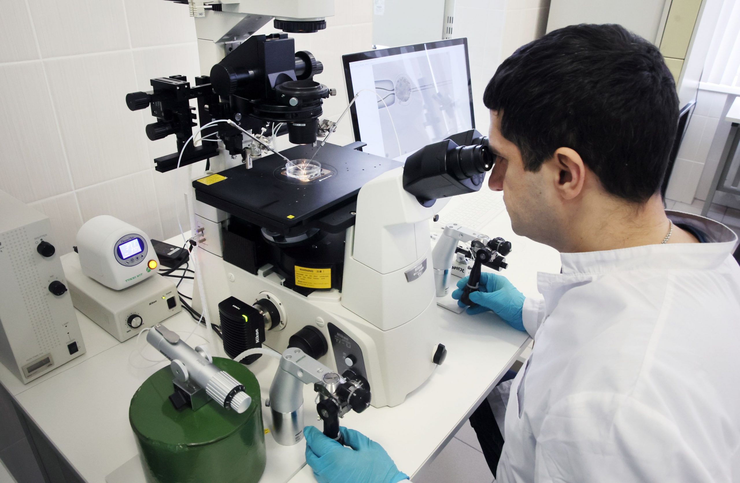 Primii embrioni umani sintetici au fost creați în premieră în laborator ...