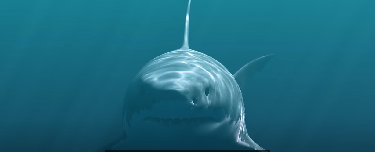 Oamenii de știință au descoperit noi indicii despre ce a dus la ...