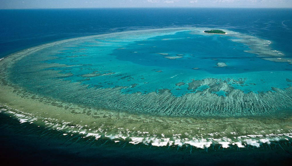 Temperaturile extreme distrug Marea Barieră de Corali din Australia. Un ...