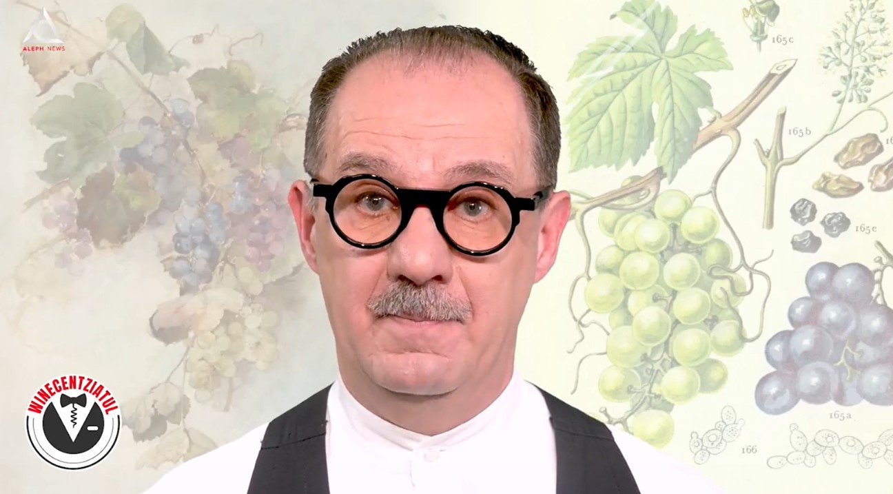 Winecentziatul. Anatomia bobului de strugure | Aleph News