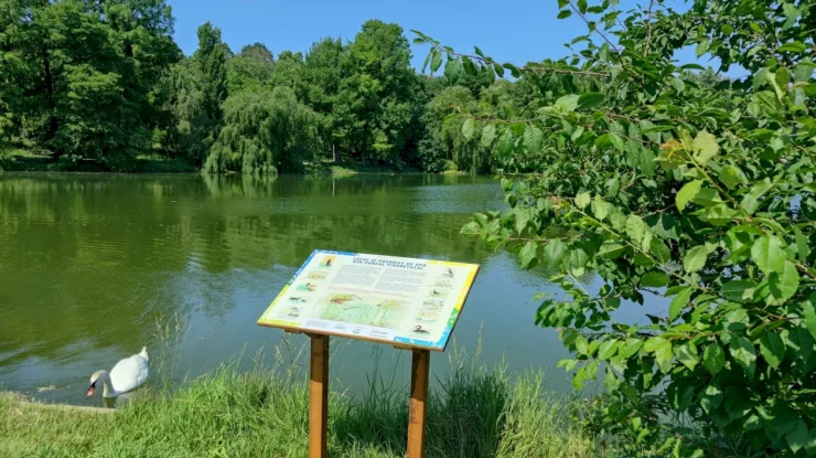 La ce evenimente mergi în weekend? În Parcul Tineretului ai parte de un ...